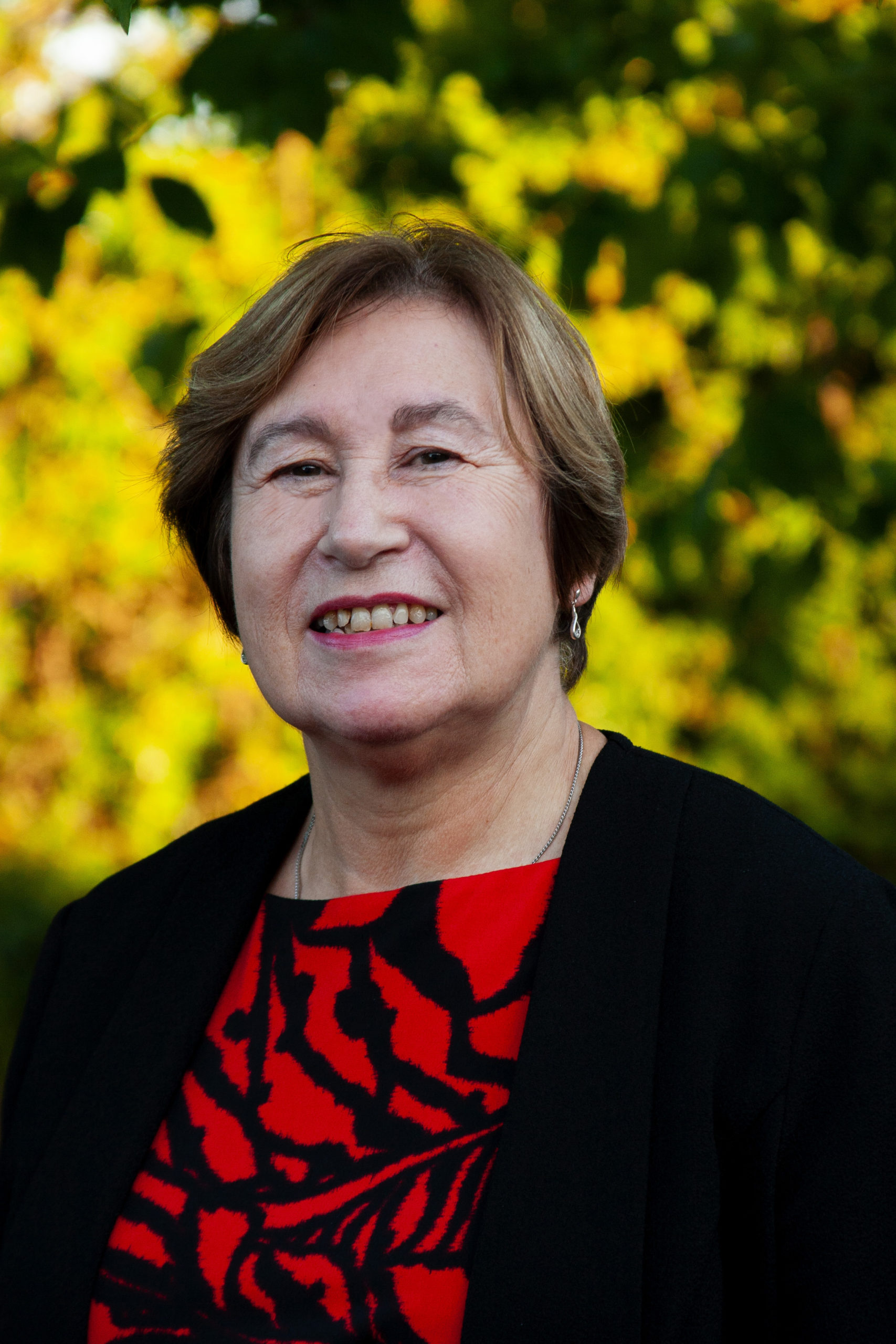 A Message from the Chair – Broadly Speaking